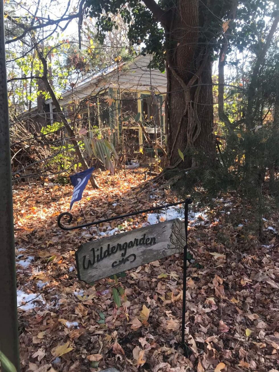 Wildergarden - Wildergarden