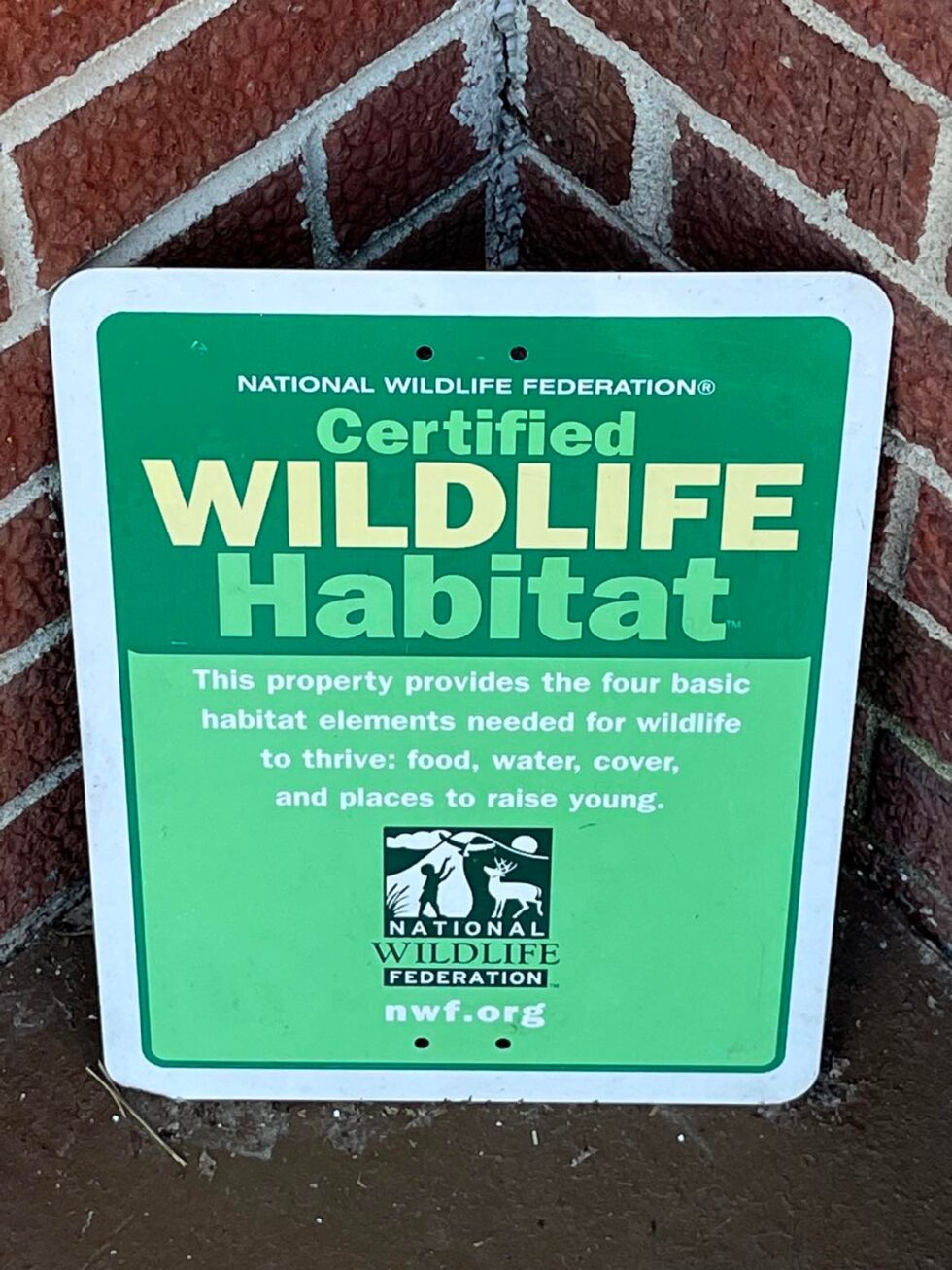 Building Community - Wildergarden